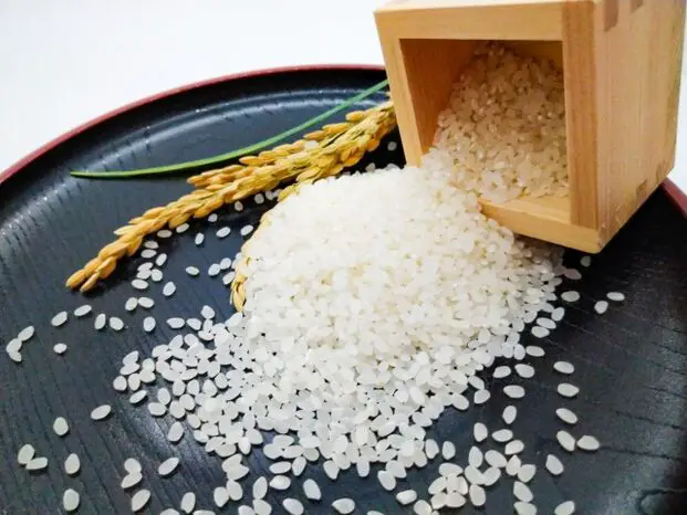 Arroz japonês: tipos, como fazer e a importância na sociedade