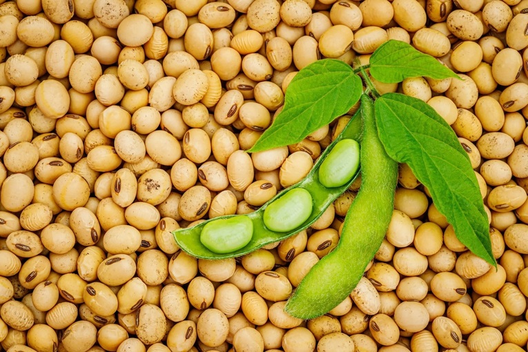 6 alimentos japoneses saudáveis para crianças